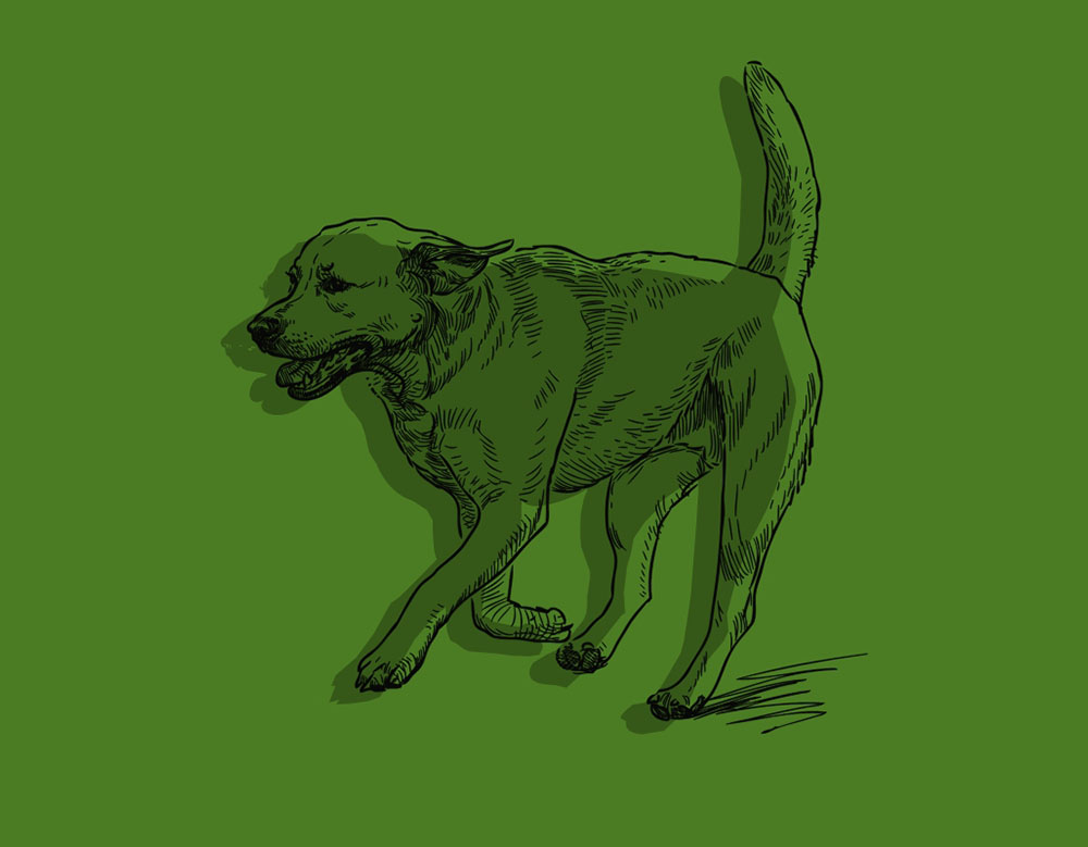 Halstead Haverhill High End Apartments|Halstead Haverhill